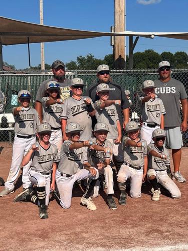 Play Ball: The impact youth baseball can have in the long run | Sports ...