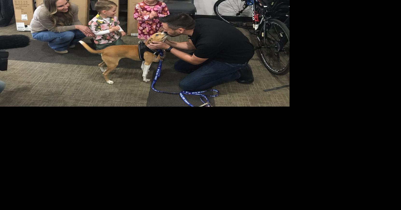 Paws of War reunite pups with soldiers | News | shelbynews.com