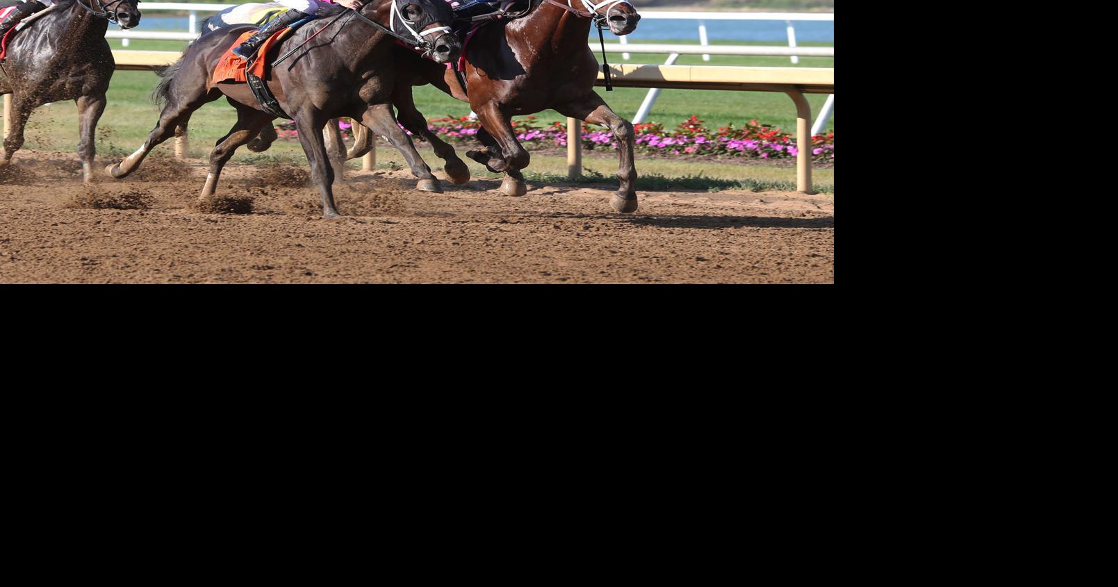 2022 Horseshoe Indianapolis racing timeline | Sports | shelbynews.com