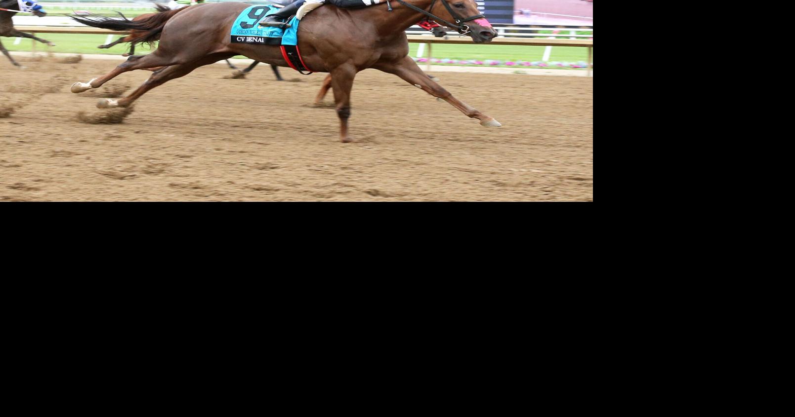 CV Denali carries on family tradition in Gordon Mobley Futurity at ...