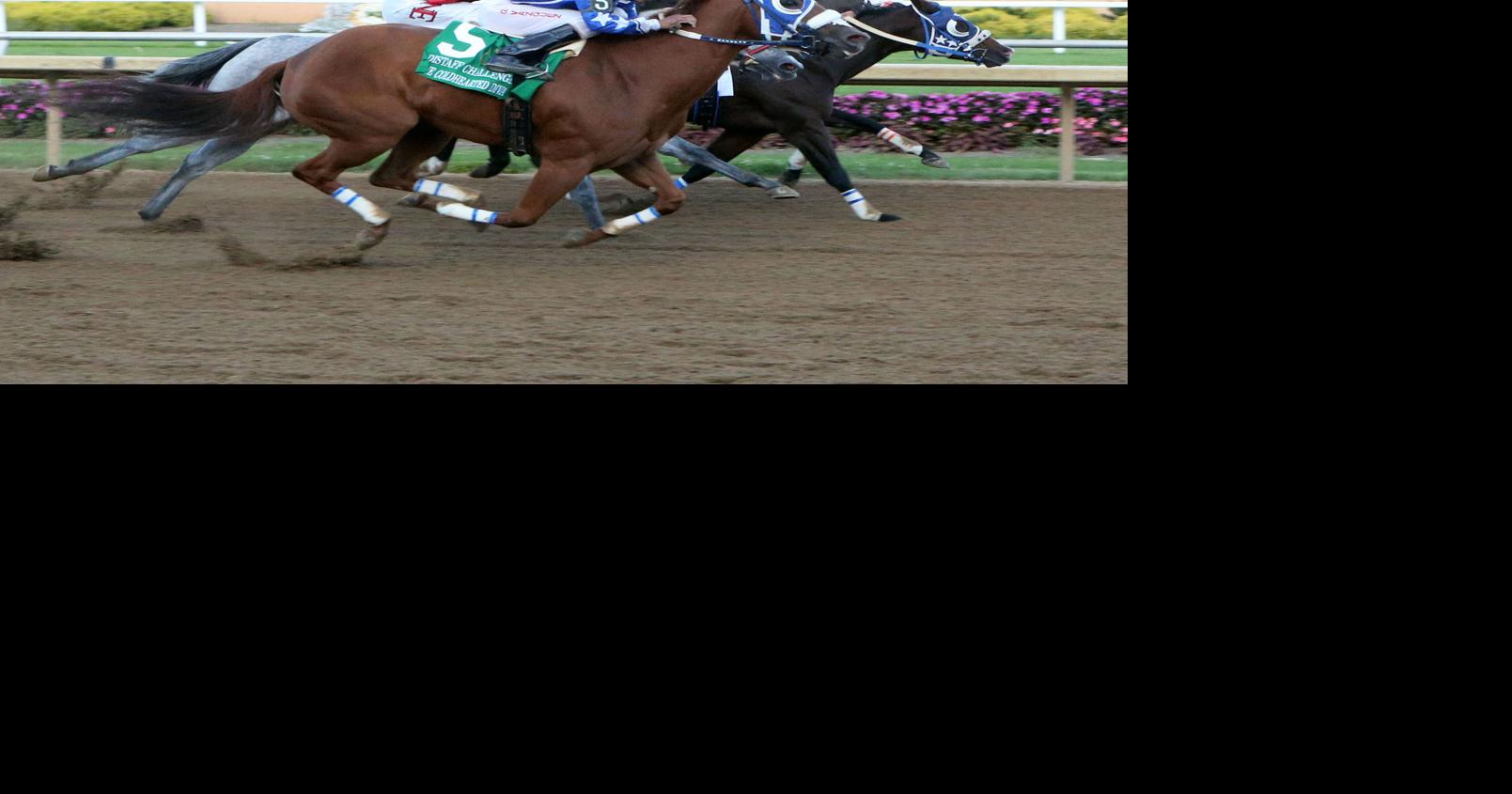 One Coldhearted Diva wins Q-Racing Video Distaff Regional Challenge at ...