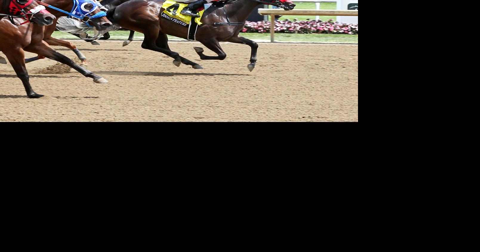 Zoomin Feature upsets in Gordon Mobley Futurity Final at Horseshoe ...