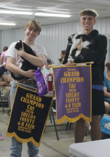 Toth scratches 4-H Cat Show competition | News | shelbynews.com