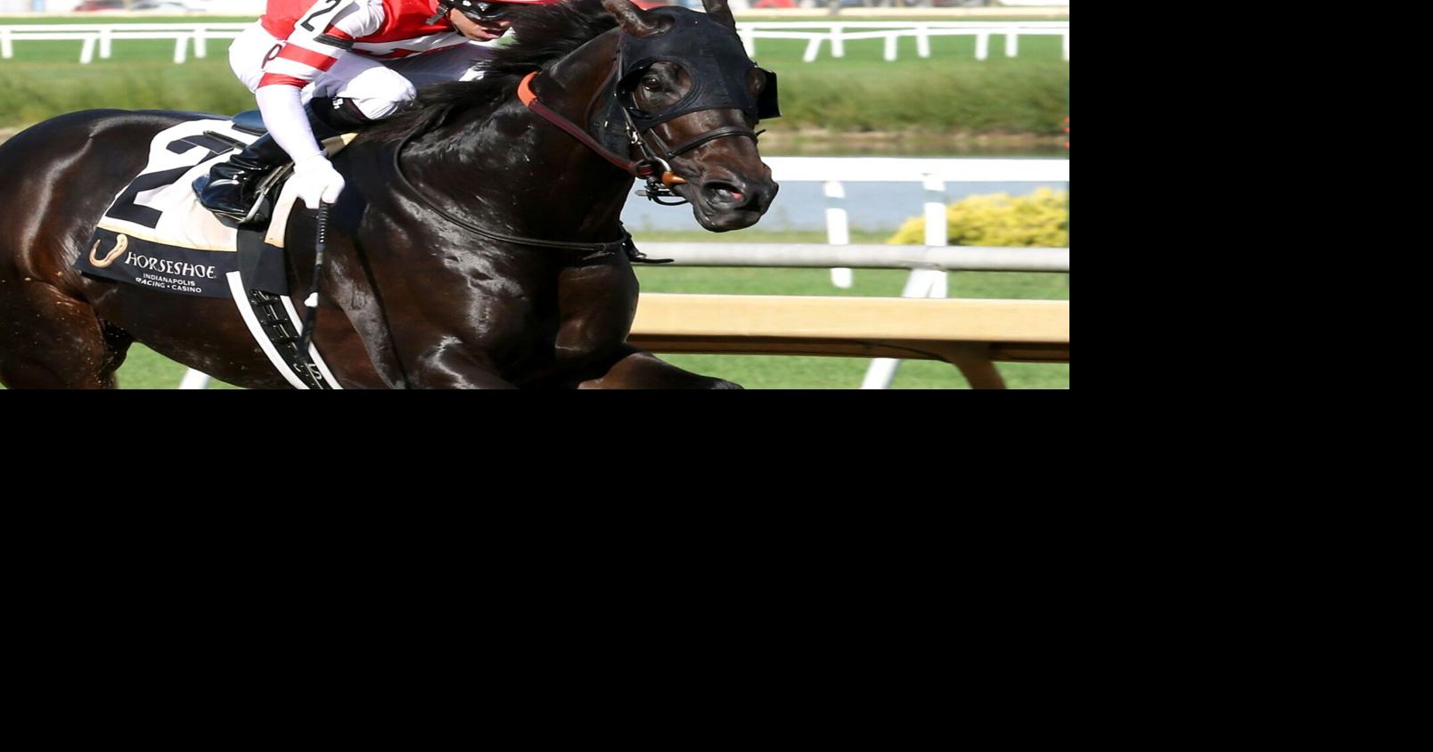 Goodlookinjustice looks good in Dunham Overnight Handicap at Horseshoe ...