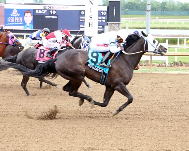 Tachas Secret, High Rolling Seize dead heat in Born Runner Classic at ...