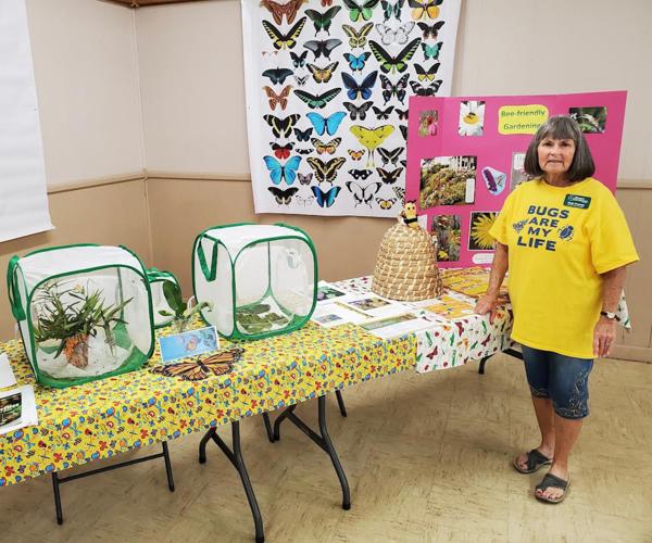 Let's Grow Together! Pollinators at the Bug Rodeo | Opinion ...