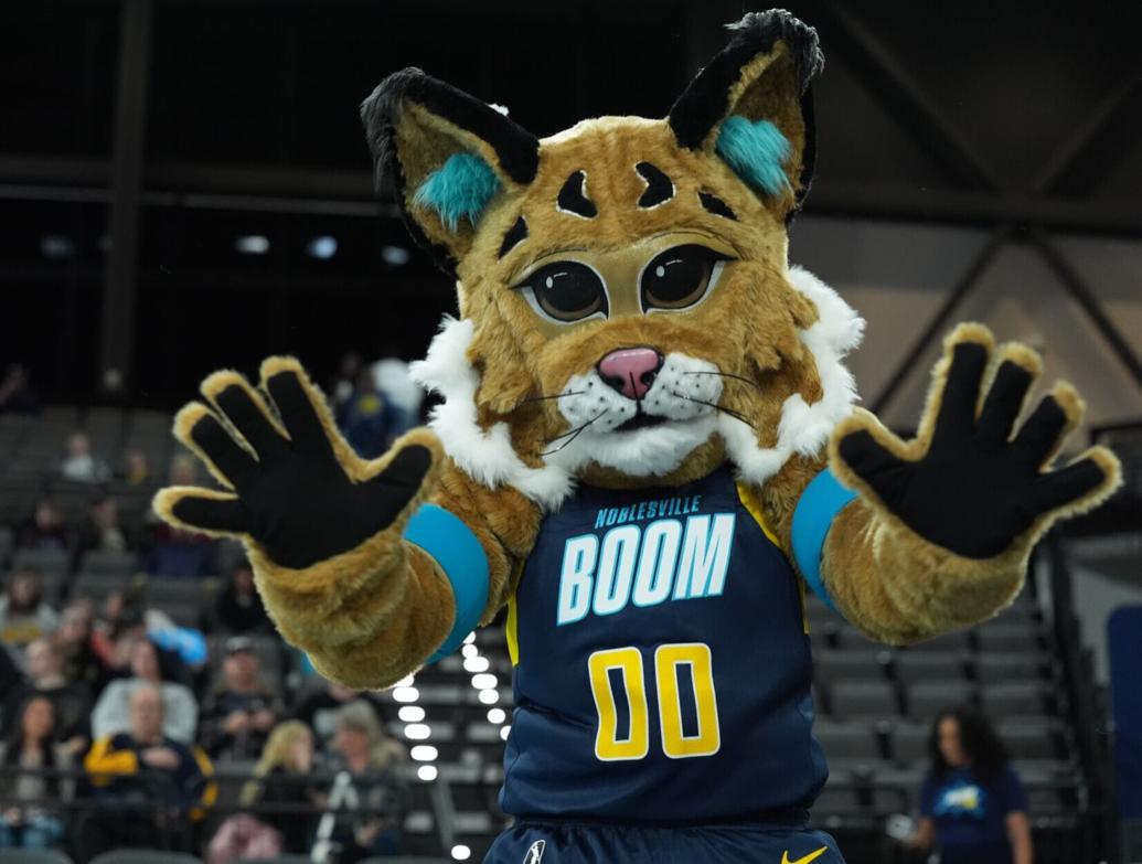 Noblesville Boom unveil new high-flying mascot, Bobby the bobcat ...