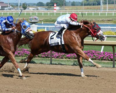 Mr Michel digs in for Woodard Memorial Classic win at Horseshoe ...