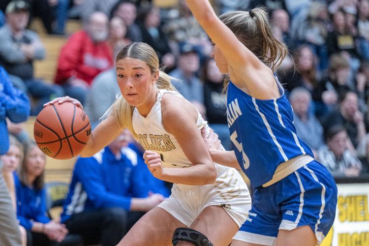Shelbyville girls come up short 50-29 in first sectional title game ...