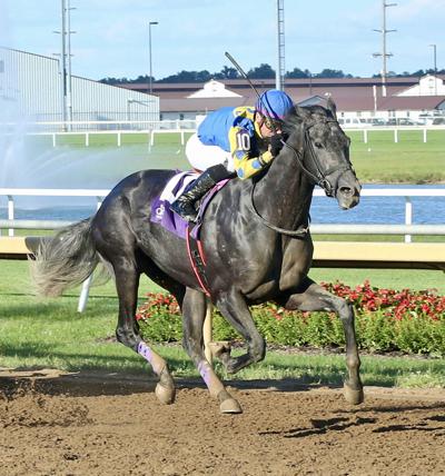 Bettor Appreciation added to season closer at Indiana Grand | Sports ...