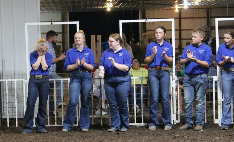 Willis named Shelby County Royal Champion | News | shelbynews.com