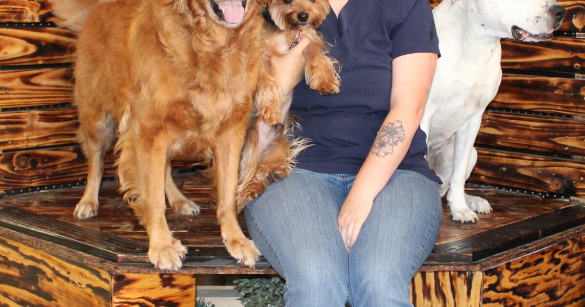 Paws and Shine opens on S. Harrison Street | News | shelbynews.com
