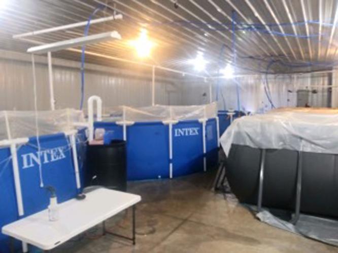 Schmeissr's bring fresh shrimp to Shelby County | News | shelbynews.com