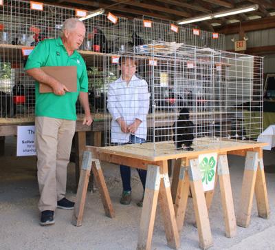 An egg-celent display of poultry | News | shelbynews.com