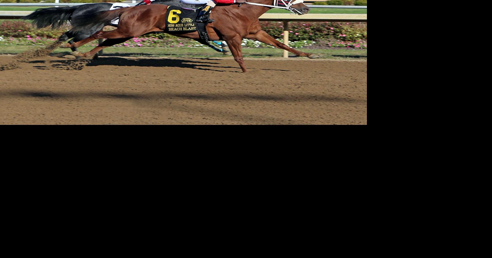 Shelbyville couple wins first Indiana Grand stakes race | News ...