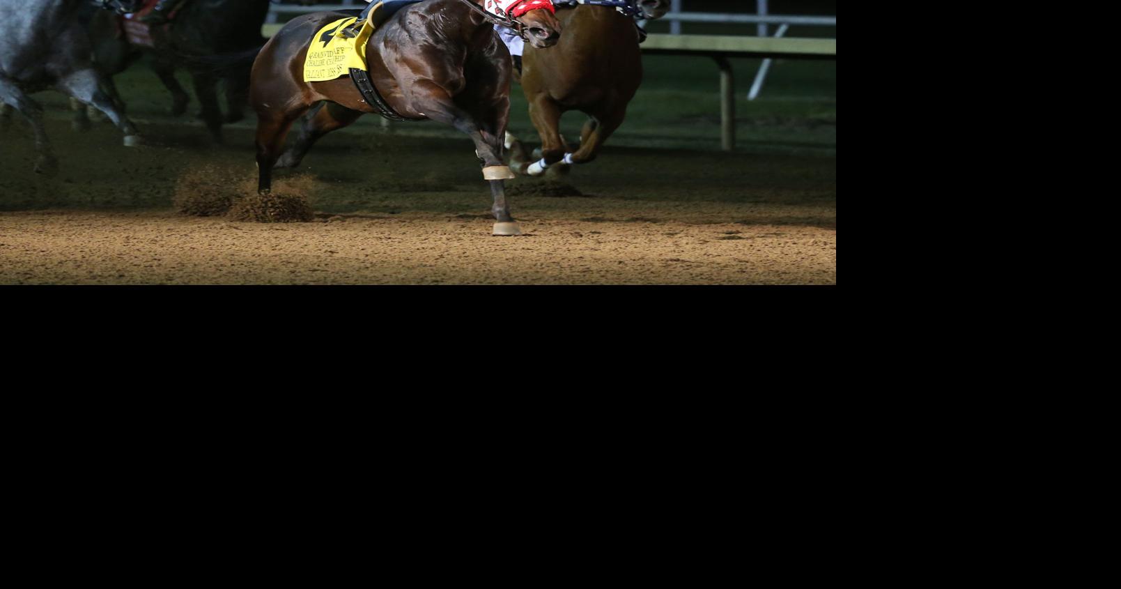 Valiant Miss Priss scores in Q-Racing Video Distaff Challenge ...