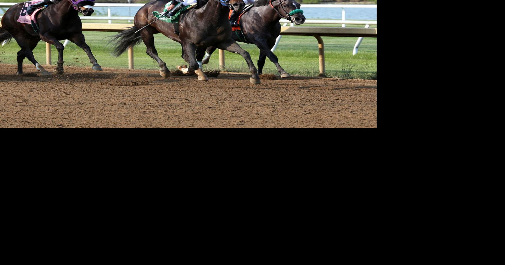 Forever Noted dictates outcome in Swifty Sired Fillies at Horseshoe ...