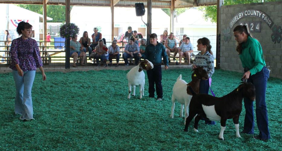 SCREAMING WITH JOY: Pygmy, Meat Goat show titles awarded | News ...