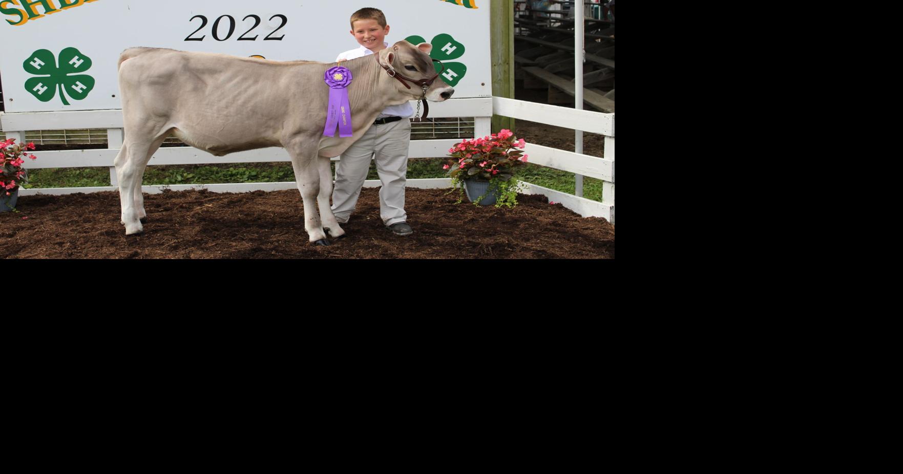 BORN FOR THIS: DeWitt wins Grand Champion during his first show | News ...