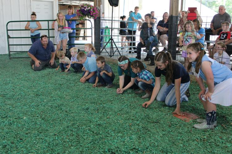 SCENES AT THE FAIR | News | shelbynews.com