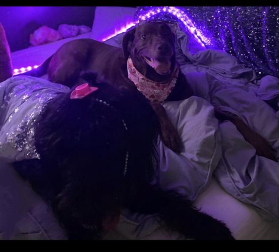 Cassie and Pyper go to Prom! | Photo Galilees | sjnm360.com