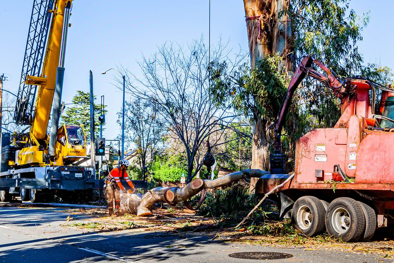 Burlingame's ‘big dig’ sees 30 trees removed so far | Local News ...