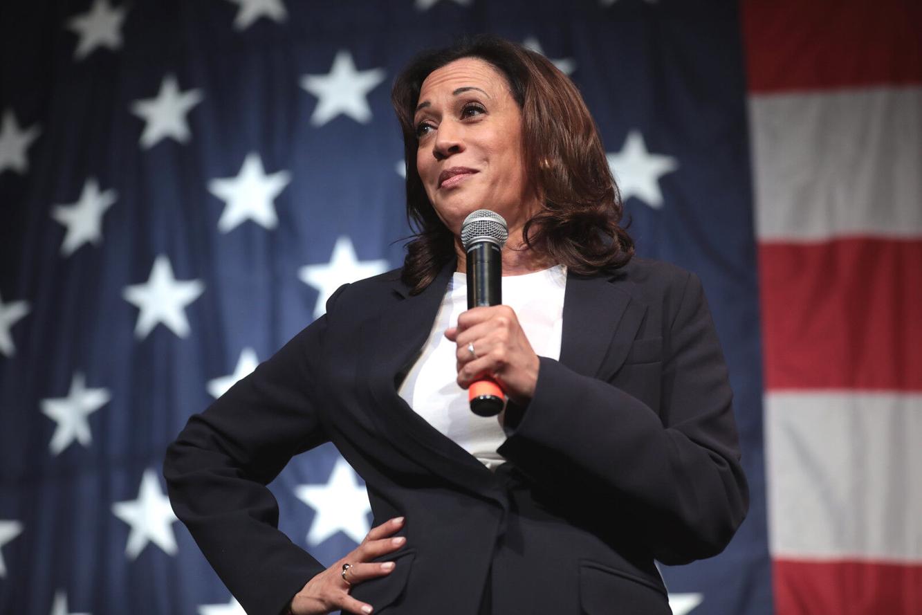 'One of us': South Asians celebrate Harris as VP choice | National ...