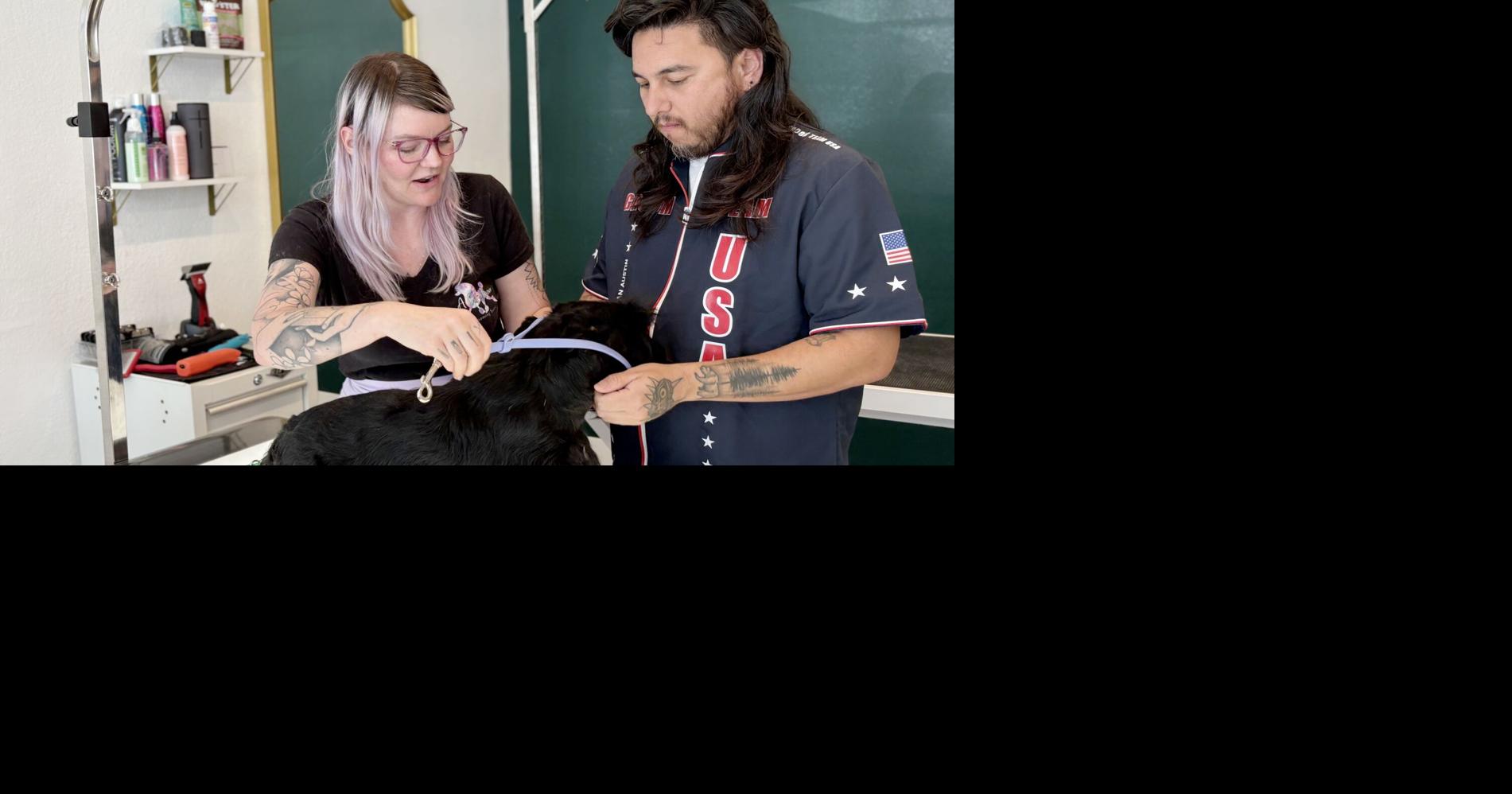 From jail to world competitor, dog groomer ‘a cut above’ | Local News ...