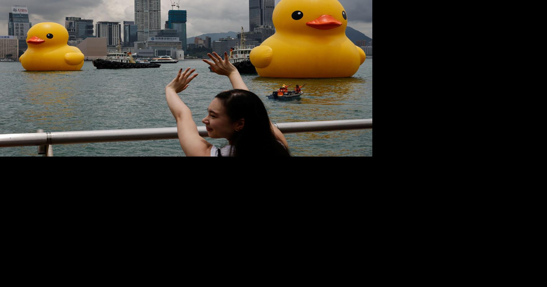 Giant inflatable ducks make a splash in Hong Kong as pop-art project ...