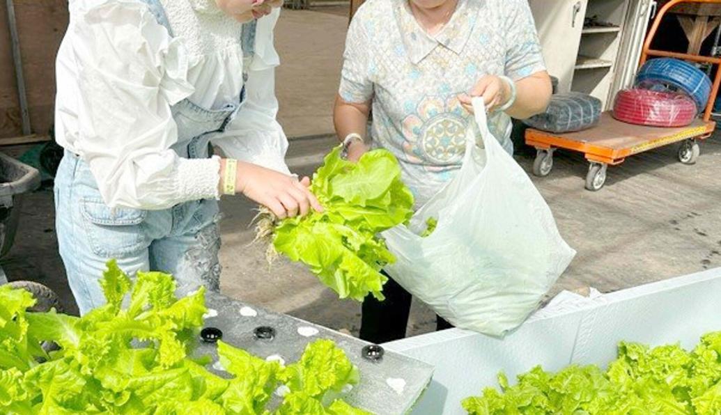 Wages recovered for coastside farmworker couple | Local News ...