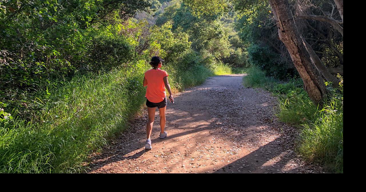 Nature can provide balance and calm during workday | Home And Garden ...