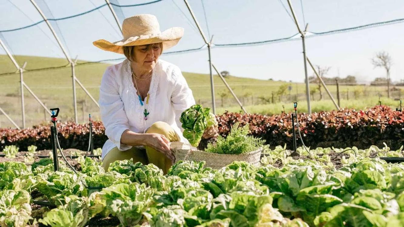 Travelers are trading spas for soil as farm charm is shaping 2026 ...