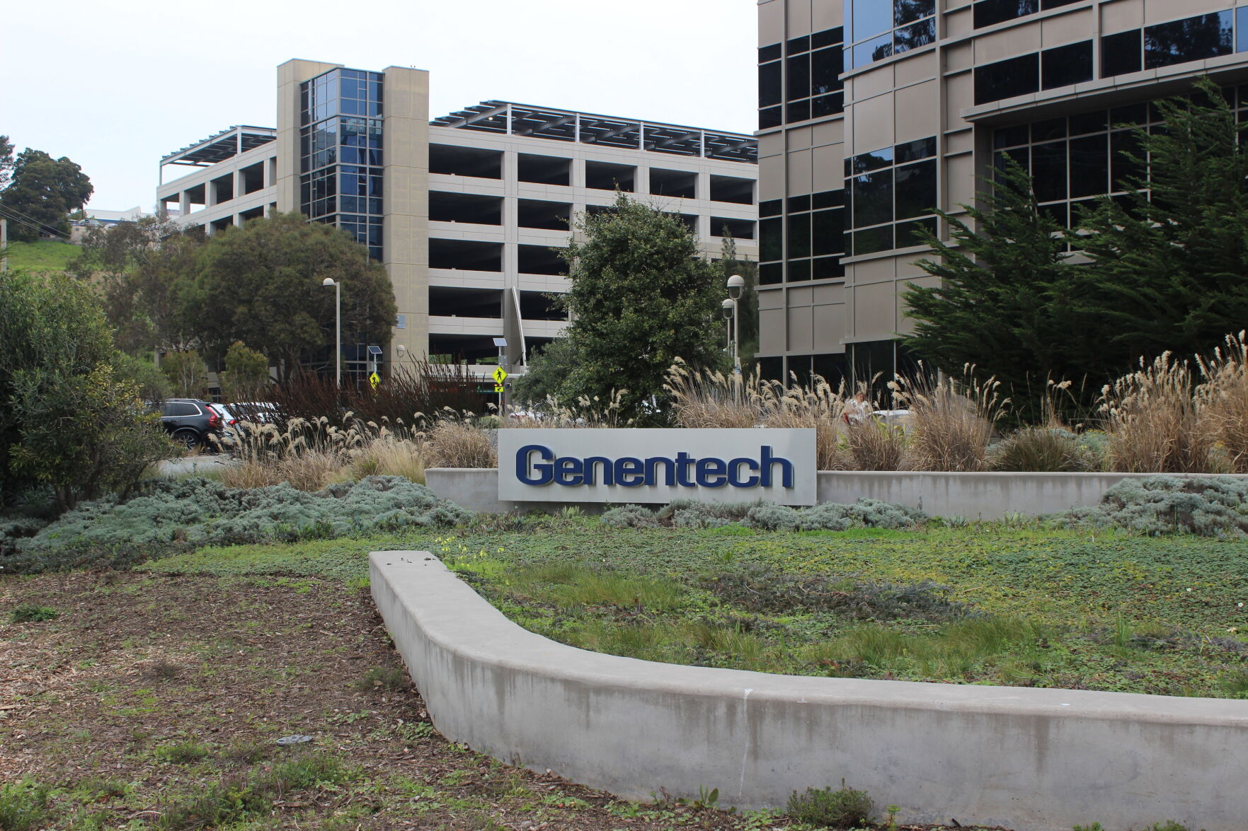 South San Francisco designates April 7 as Genentech Day | Local News ...