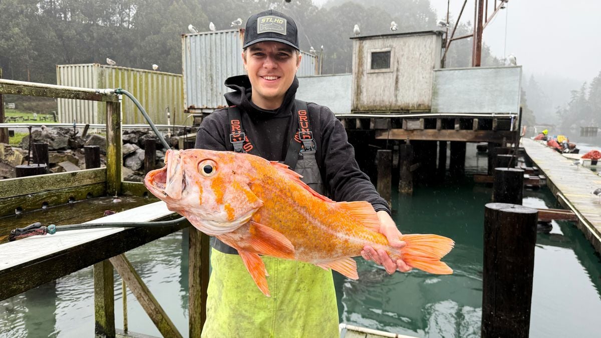 A California fisherman may have broken records by catching a 10.25 ...
