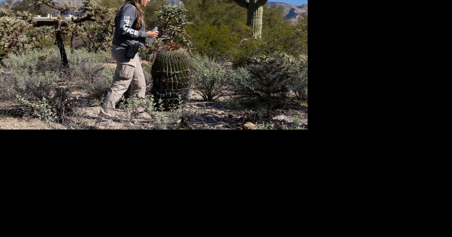 FBI combs desert terrain for clues in Nancy Guthrie's disappearance ...