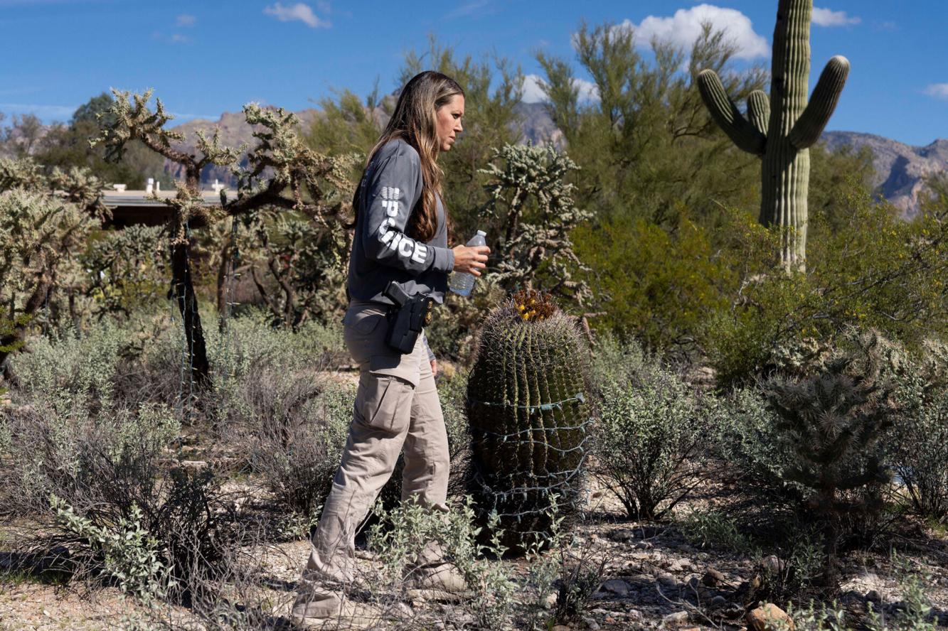FBI combs desert terrain for clues in Nancy Guthrie's disappearance ...