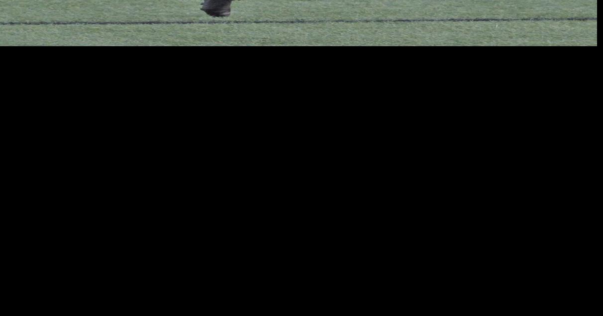 Menlo wins WBAL girls’ soccer showdown | Local | smdailyjournal.com