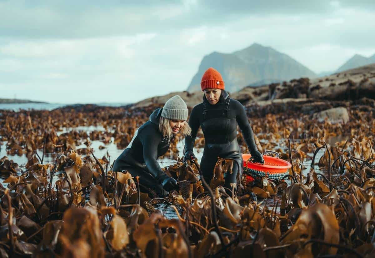 Bucket-list food trips for 2026, where the destination is the dish ...