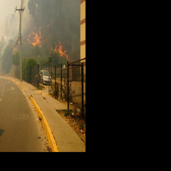 Little Boxes: Discovering Doelger | Local News | smdailyjournal.com