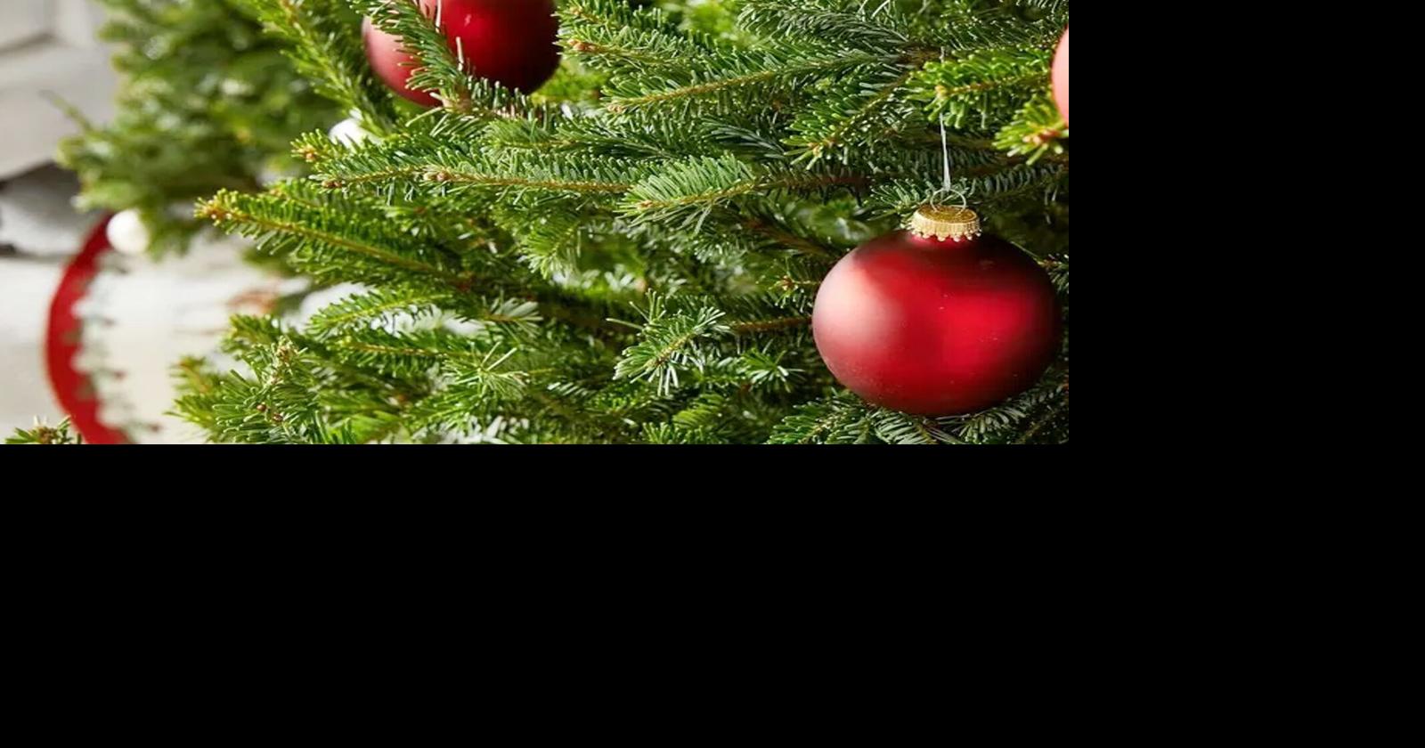 Merry Christmas to all | Editorials | smdailyjournal.com