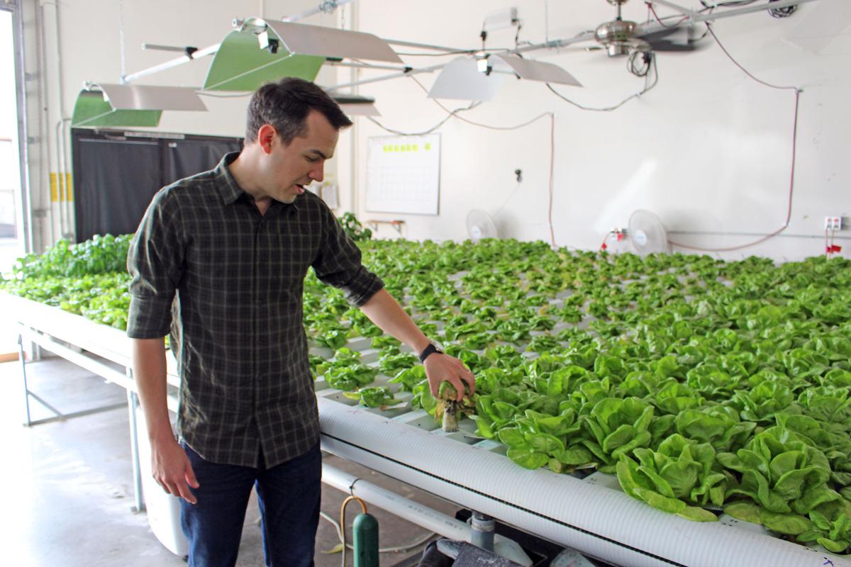 Engineering the growing process one bot at a time | Local News ...