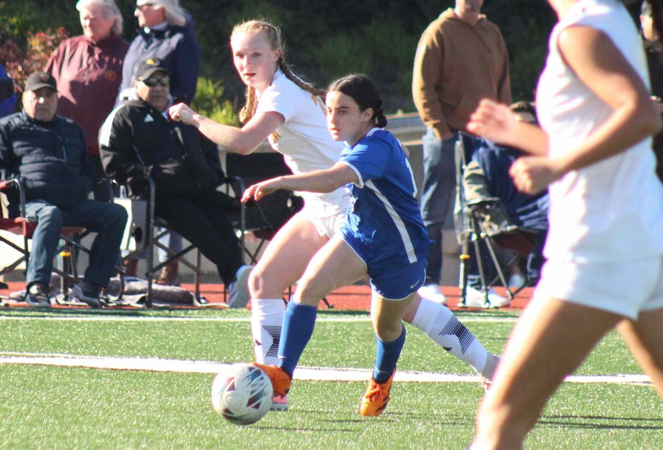 Terra Nova Tigers come roaring back vs Nueva | Local | smdailyjournal.com