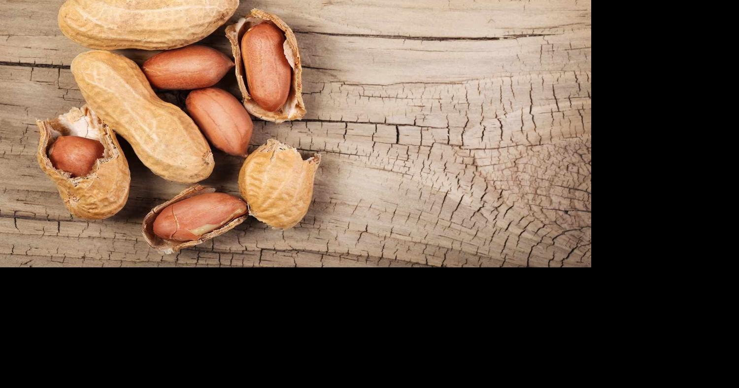 Advice to feed babies peanuts early and often helped thousands of kids ...