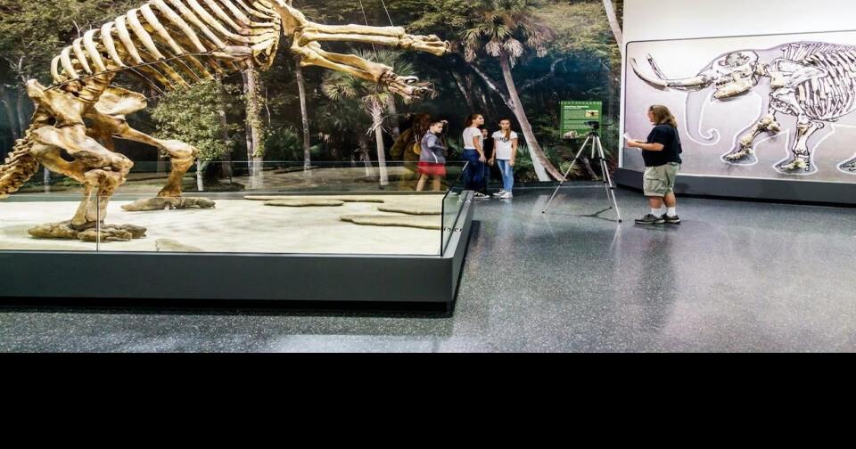 Giant sloths and mastodons lived with humans for millennia in the Americas, new discoveries ...