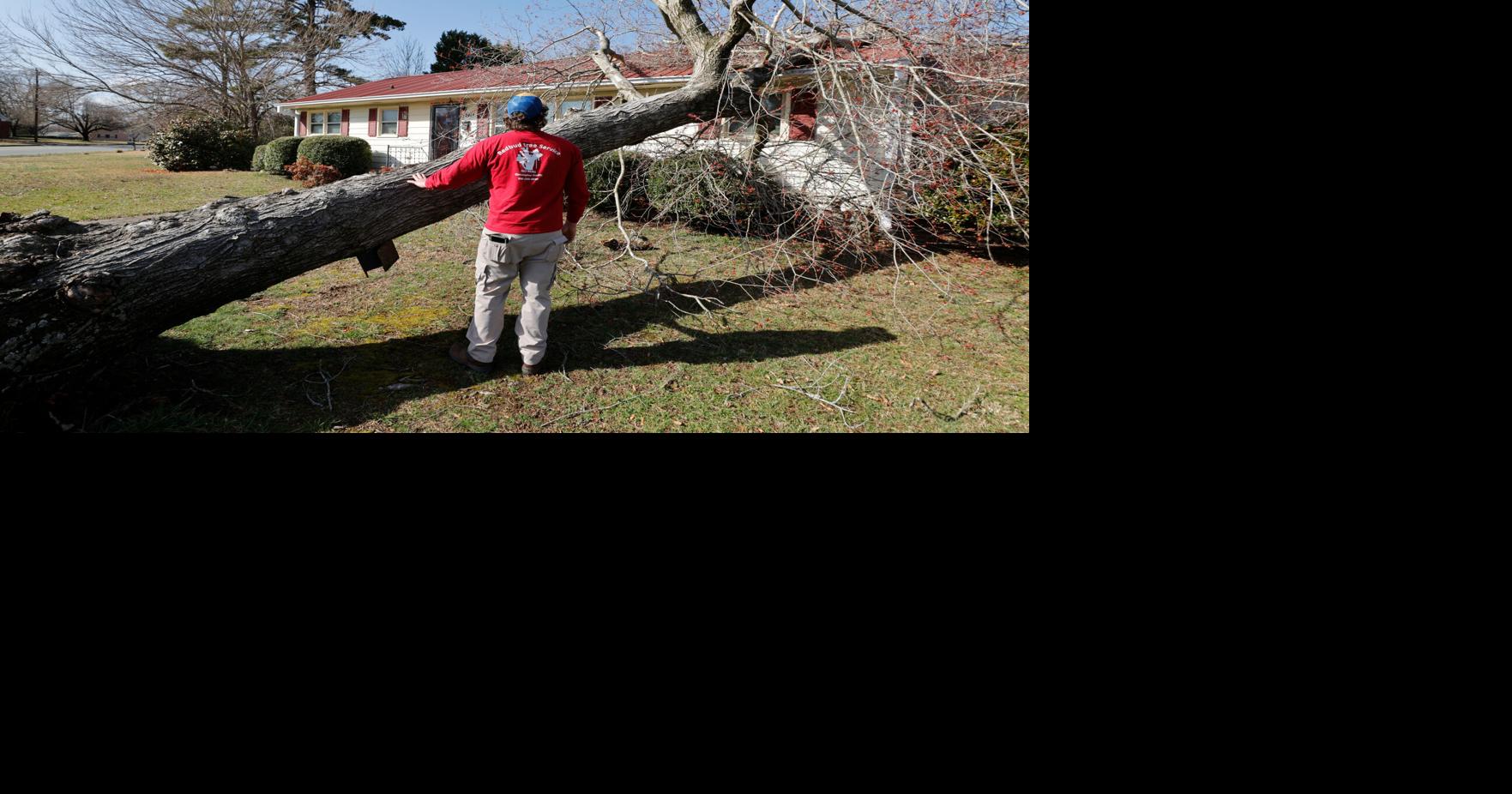 March megastorm may bring blizzards, tornadoes, flooding and even fires ...