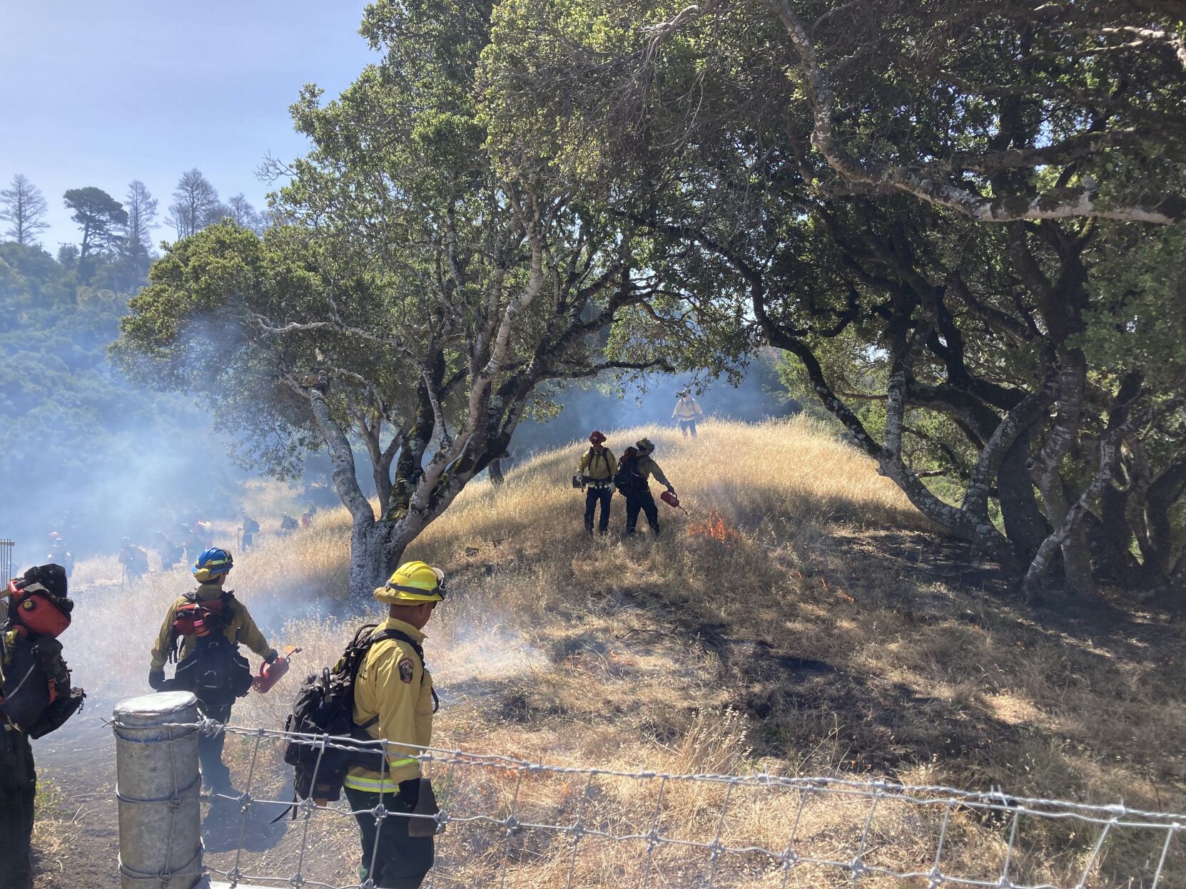Prescribed burn planned near 280 in Belmont | Local News ...