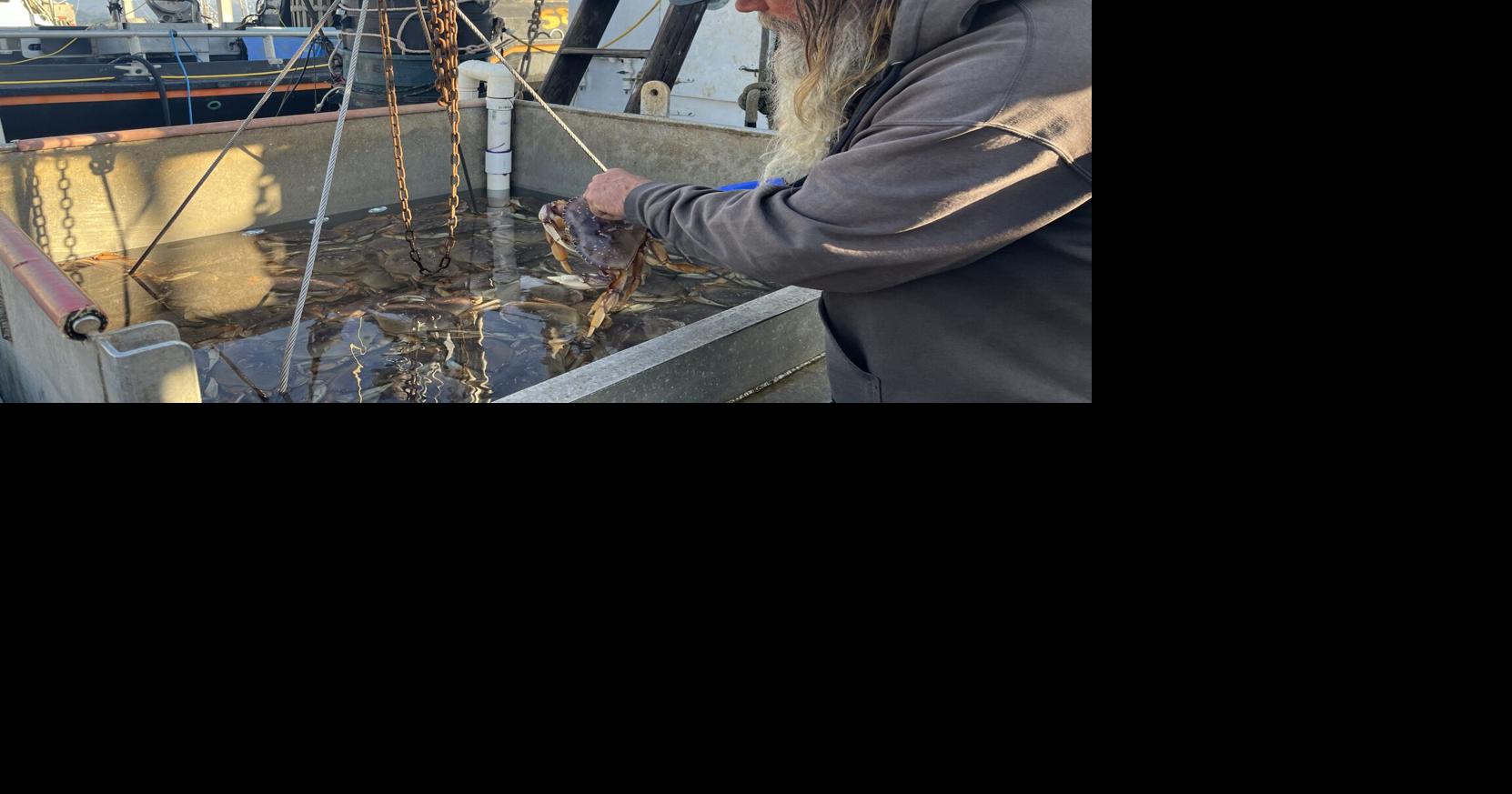 Crab sold off boat at Pillar Point Harbor | Local News | smdailyjournal.com