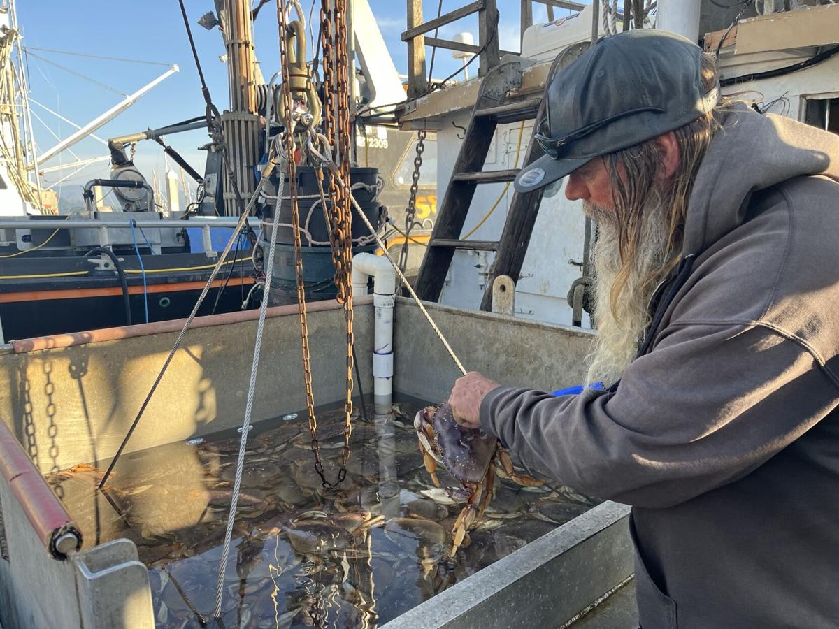 Crab sold off boat at Pillar Point Harbor | Local News | smdailyjournal.com