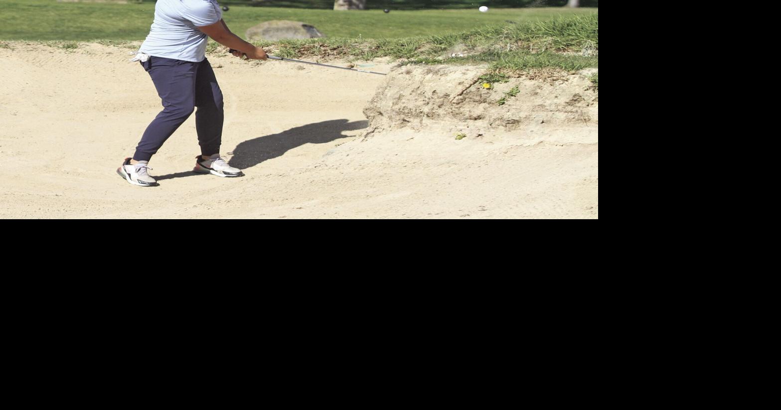 Hillsdale's Ashlyn Johnson claims PAL girls' golf title | Local ...