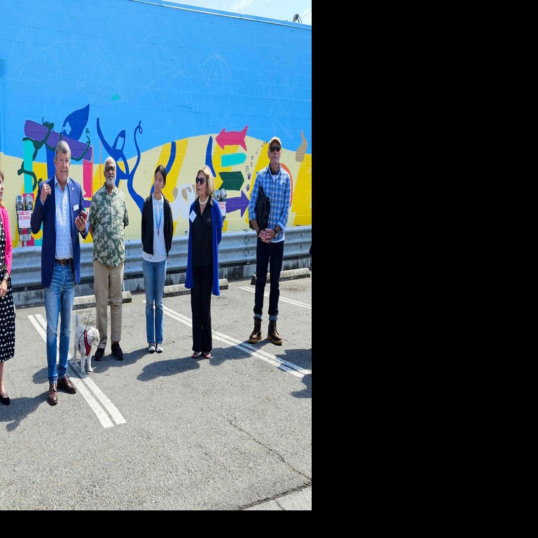 Foster City pursues commercial development reach codes | Local News ...